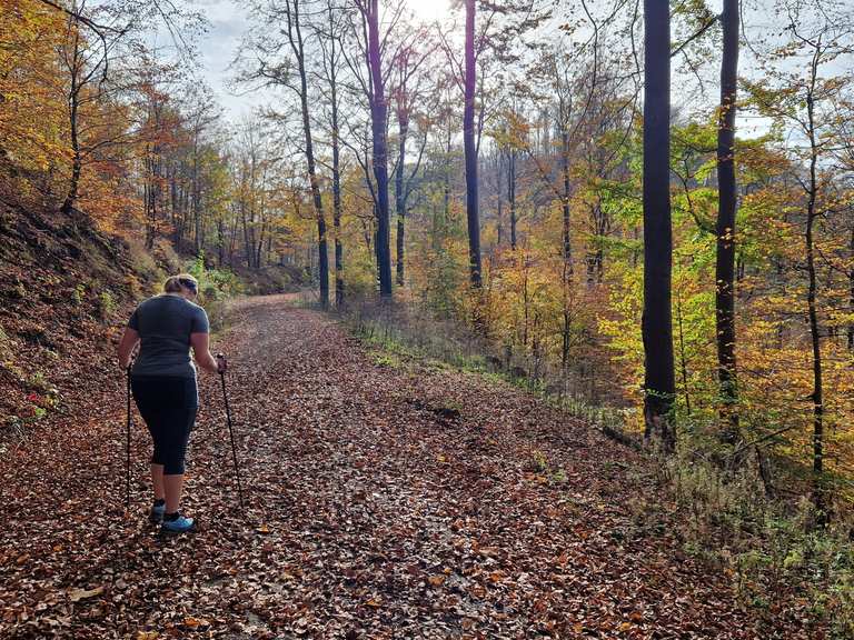 Schöner Pfad, ein wenig anspruchsvoll: Wanderungen und Rundwege | komoot