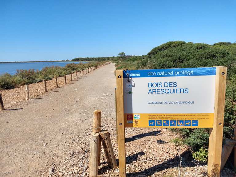 Bois des Aresquiers - Itinéraires de rando et marche | Komoot