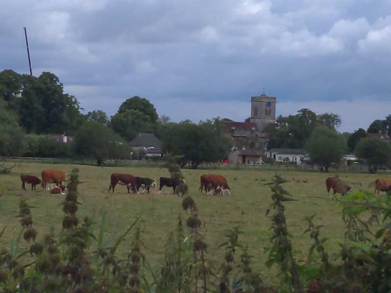 Castleman Trailway - Cycle Routes and Map | Komoot