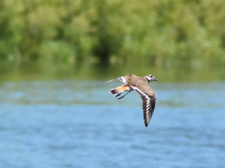 Hoopes Reservoir Beach: Rennradfahren und Rennradtouren | komoot