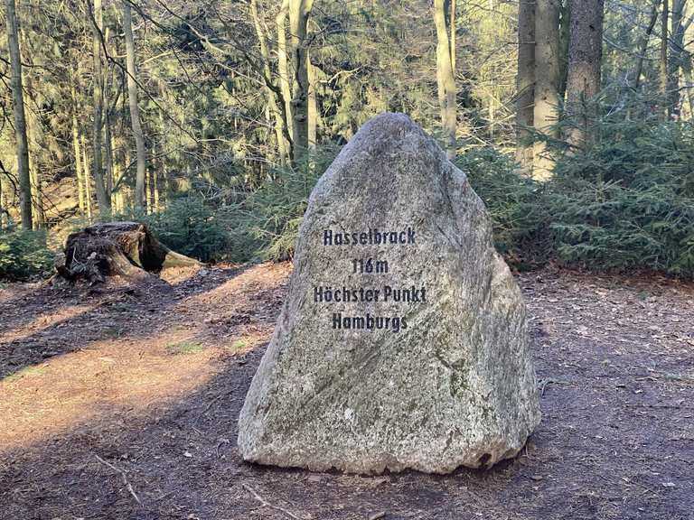 Harburger Berge und Fischbeker Heide | Laufrunde | Komoot