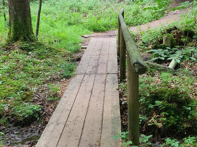 Bretterpfad durch das Moor – Holzbrücke durch's Moor Runde von ...