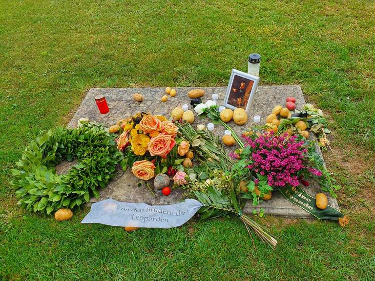 Grab Friedrichs des Großen: Wanderungen und Rundwege | komoot