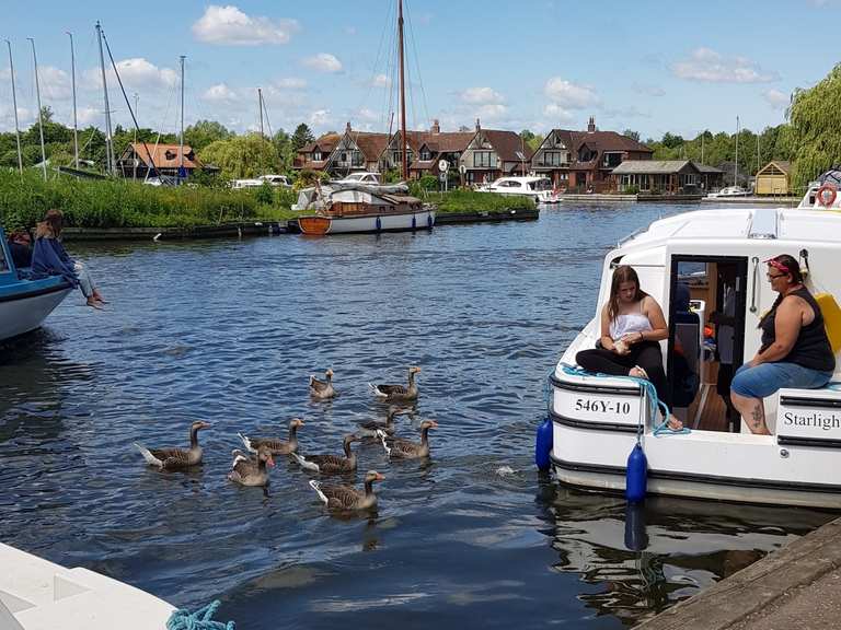 Wroxham to Ludham loop – The Broads National Park | road ride | Komoot