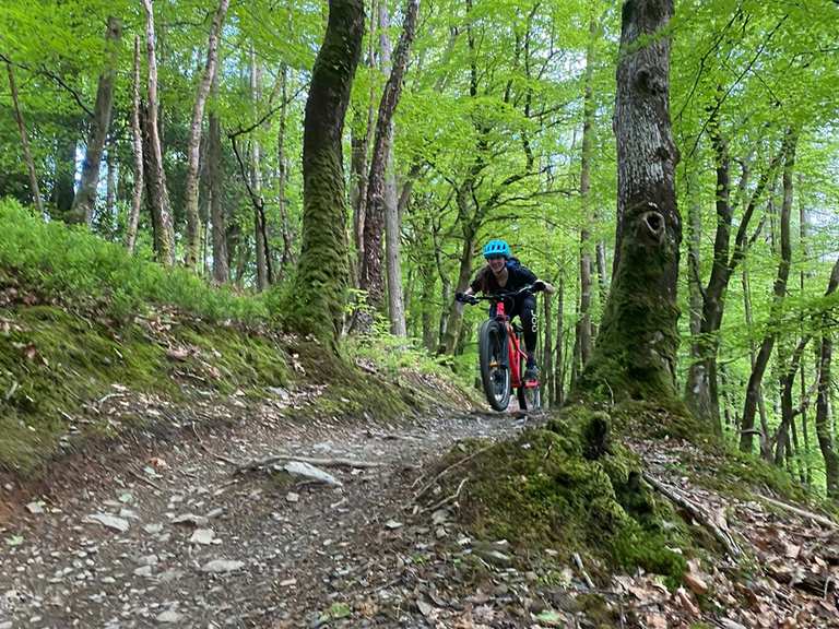 Gwydir Mawr (Marin) trail — Eryri (Snowdonia) National Park | mountain ...