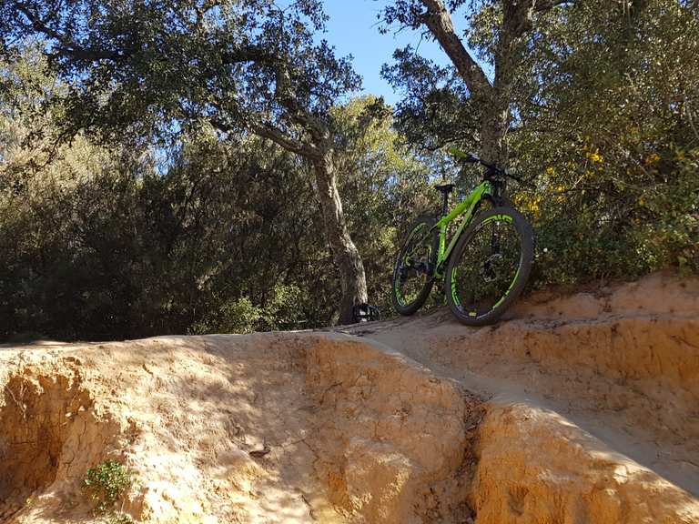 Parco Regionale Urbano del Pineto : Radtouren und Radwege | komoot