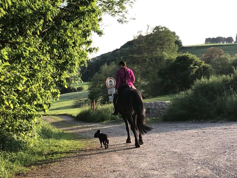 Aussichtspunkt bei Wangen Elitz - Herzmanns - Mountain Bike Trails & Tracks | Komoot