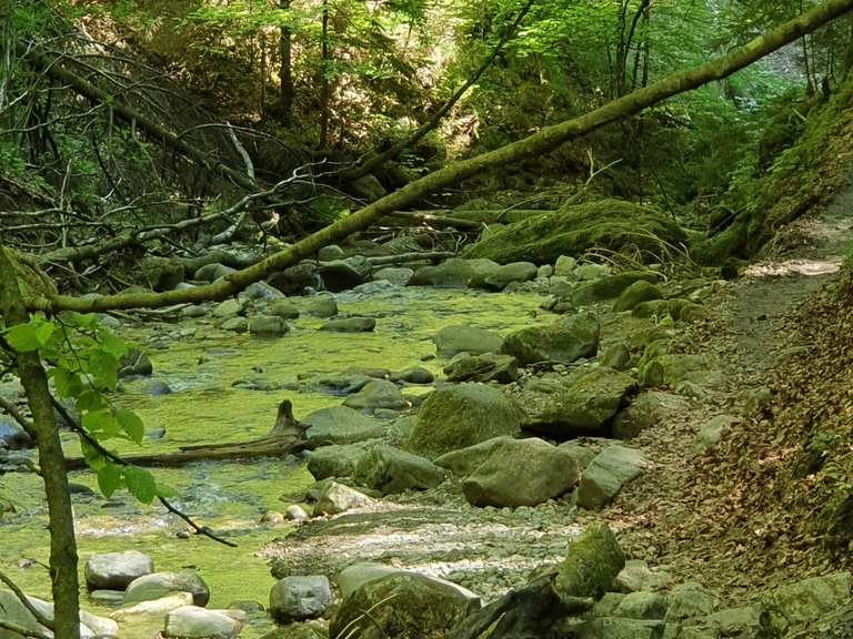 Gumpe und Kiesbänke unterhalb vom Wasserfall: Wanderungen und Rundwege ...