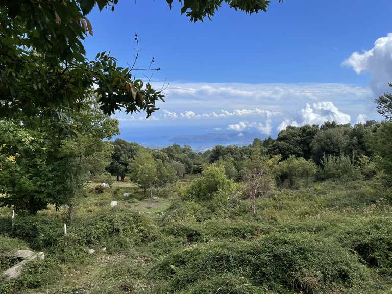 Punta di a Vacca Morta – Faszinierender Baum Loop from Agnarone | hike ...