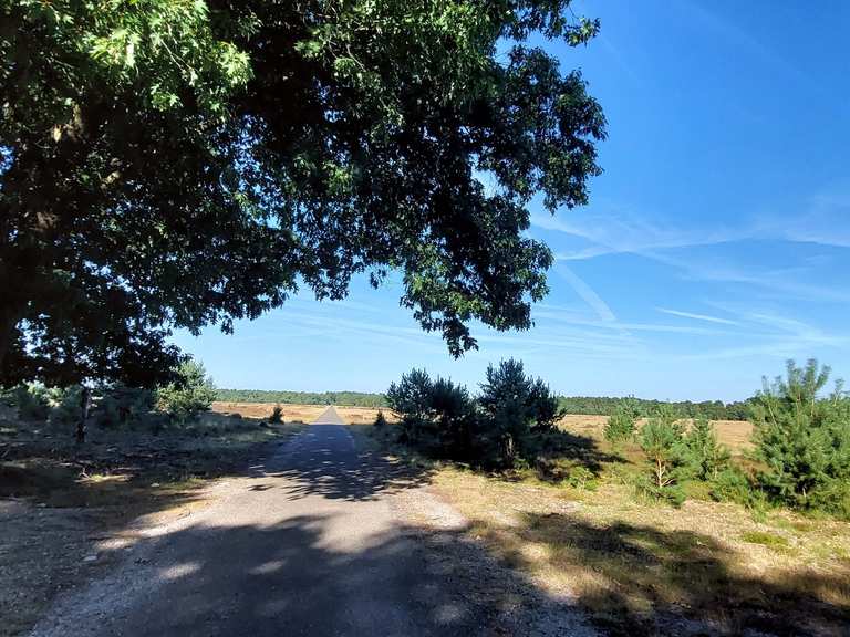 Natuurgebied St. Anthonis - wiellerroutes en kaart | Komoot