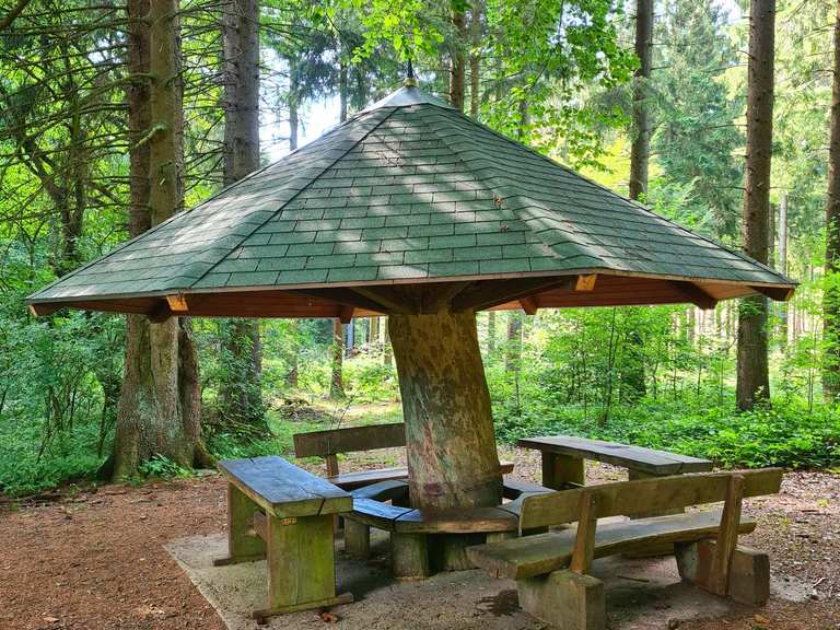 Buker Pilz Picknick-Unterstand: Wanderungen und Rundwege | komoot