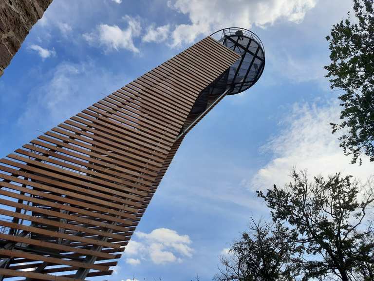 Ausblick ins Tal – Trommturm Runde von Scharbach | Wanderung | Komoot