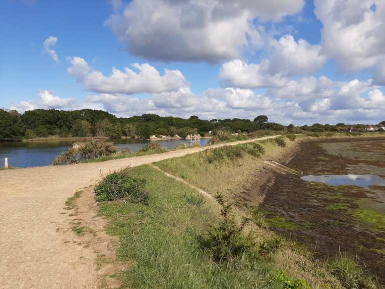 Eight Acre Pond - Routes for Walking and Hiking | Komoot