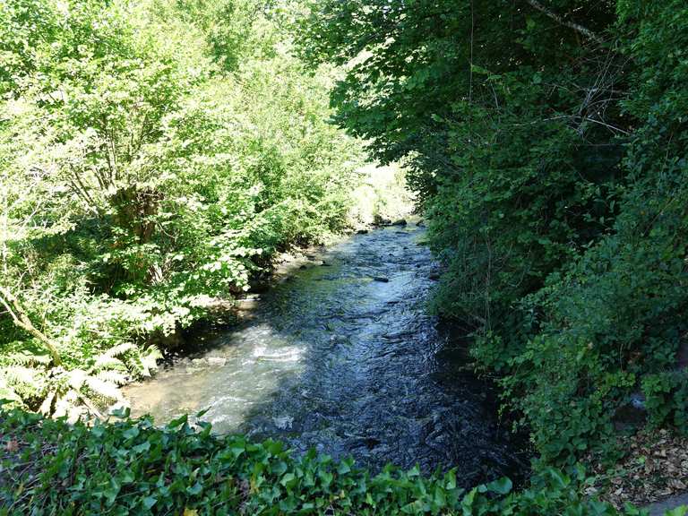 Brücke über die Elsava: Mountainbike-Touren und -Trails | komoot