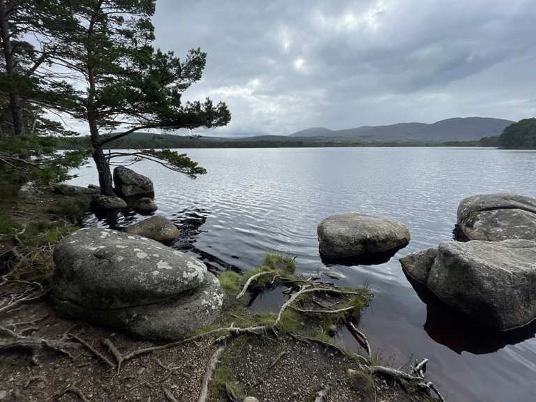 Loch Garten and Loch Mallachie loop — Cairngorms National Park | hike ...