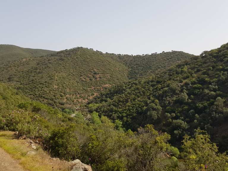 Parque Natural Sierra de Cardeña y Montoro – Río Yeguas por el Camino ...
