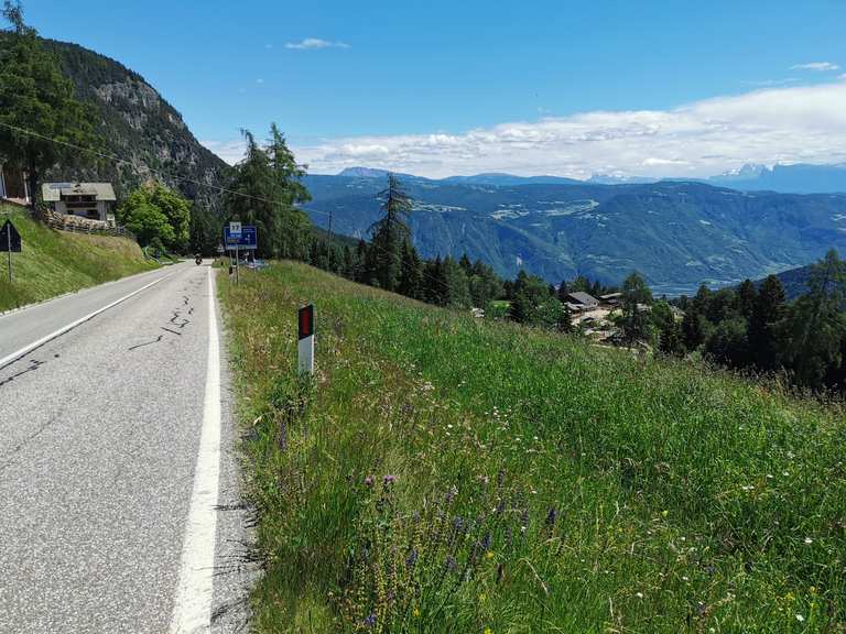 Passo Palade Road Cycle Routes and Map | Komoot