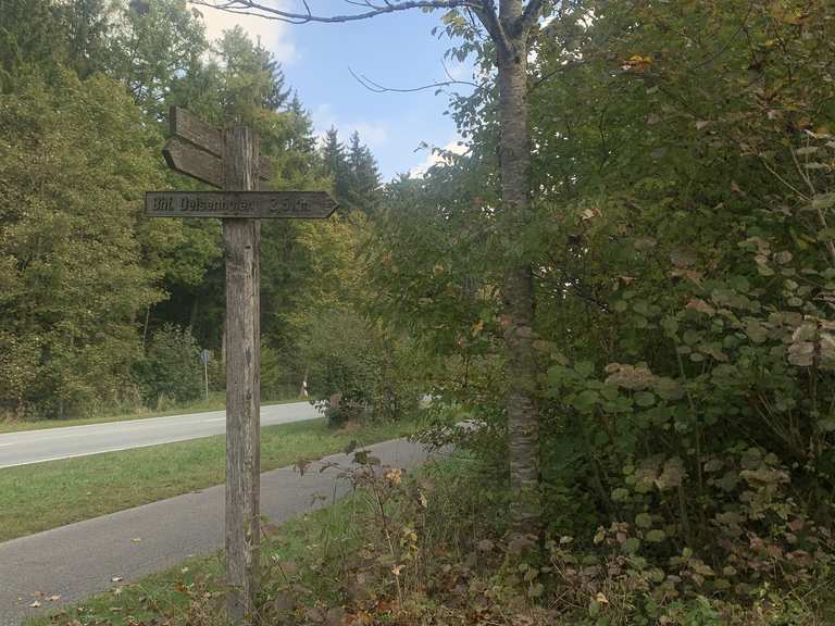 Pista ciclabile da Oberhaching a Grünwald: percorsi per bici da corsa ...