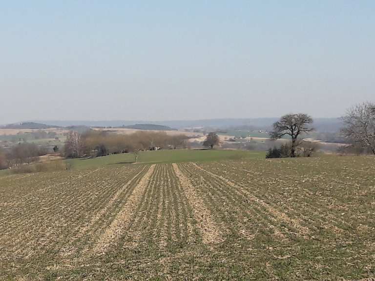 Hügelsofa Oberacker Routes for Walking and Hiking | Komoot