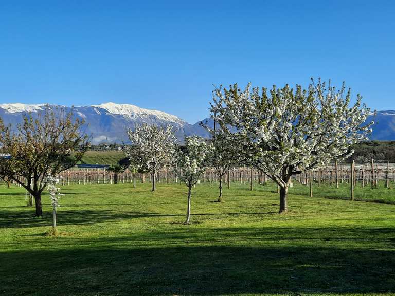 Bellissima vista sui monti da via Poloni: Radtouren und Radwege | komoot