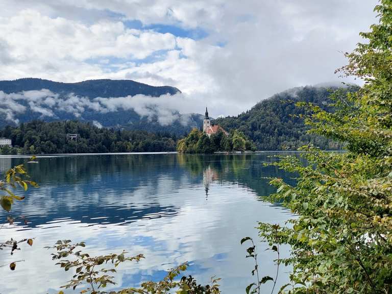 Boucle View on Bled Castle – View Point Mala Osojnica au départ de Bled ...