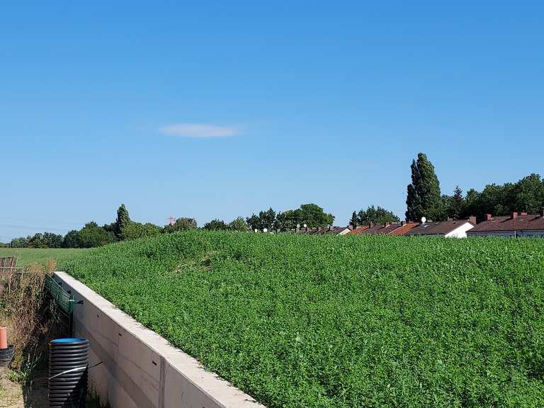 A7-Deckel Stellingen: Wanderungen und Rundwege | komoot