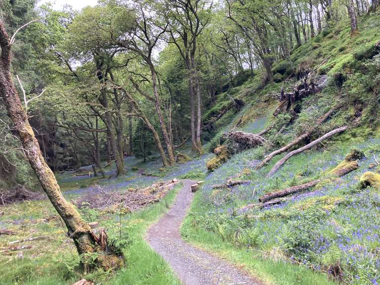 Rowchoish Bothy - Itinéraires de rando et marche | Komoot