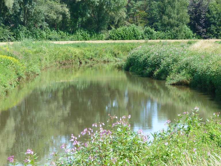 Kleine Nete fietsroutes en kaart | Komoot