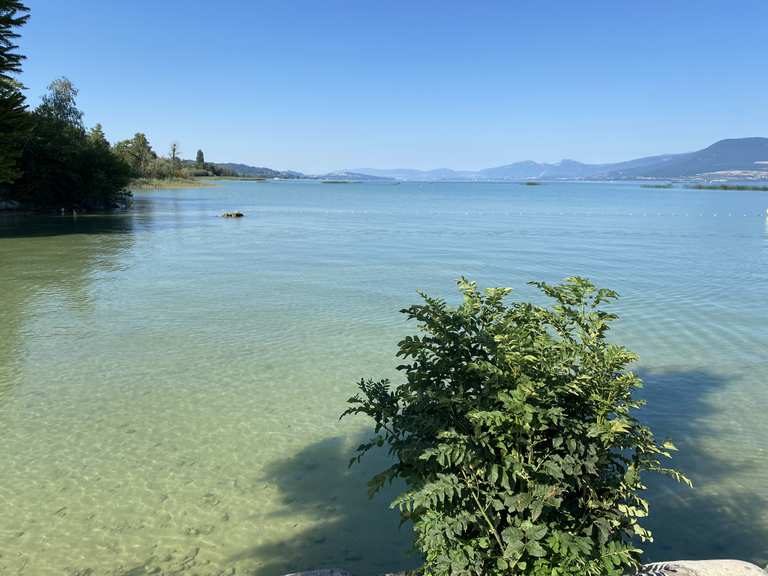 Plage de Chevroux: Mountainbike-Touren und -Trails | komoot