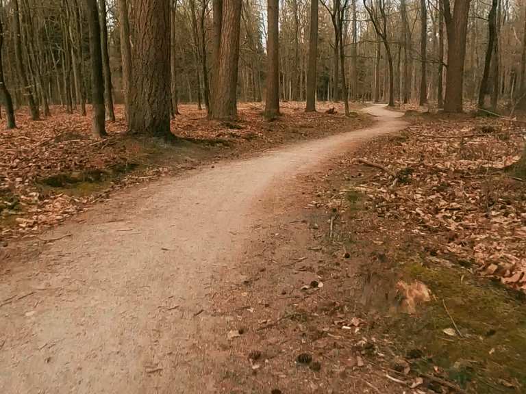 Heerlijk kronkelpad A: Radtouren und Radwege | komoot