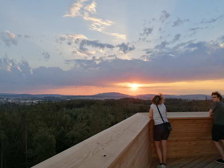 Hardwaldturm: Wanderungen und Rundwege | komoot
