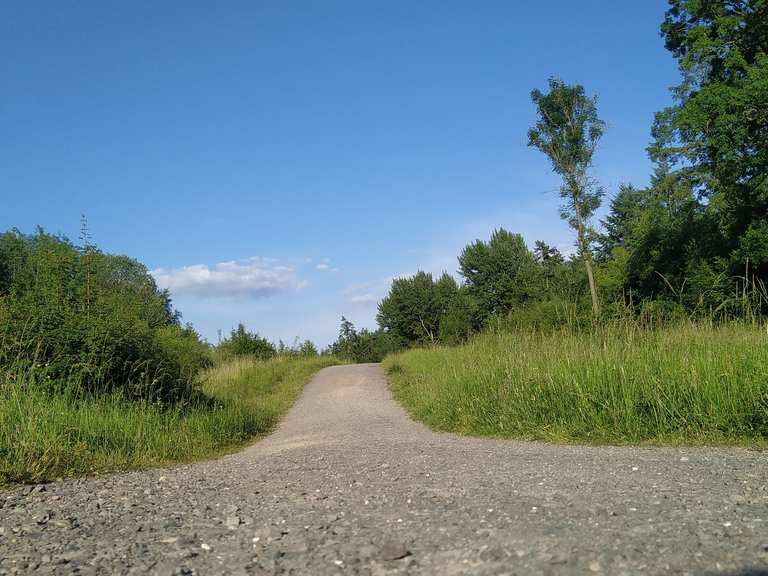 Fineshade Wood wandelroutes en hikes | Komoot