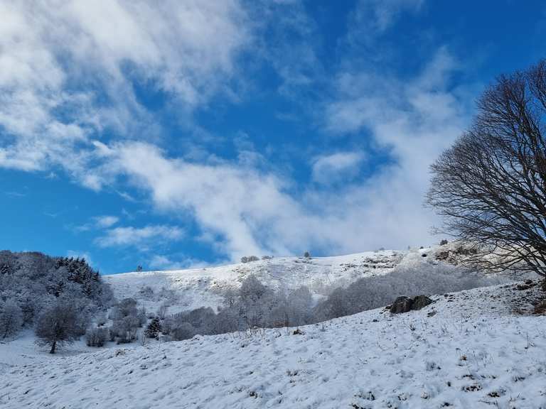 Petit Ballon – Col du Petit Ballon boucle au départ de Wasserbourg ...