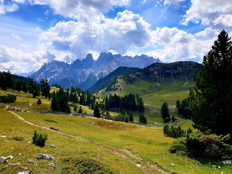 Plateau de Plätzwiese - Itinéraires de rando et marche | Komoot