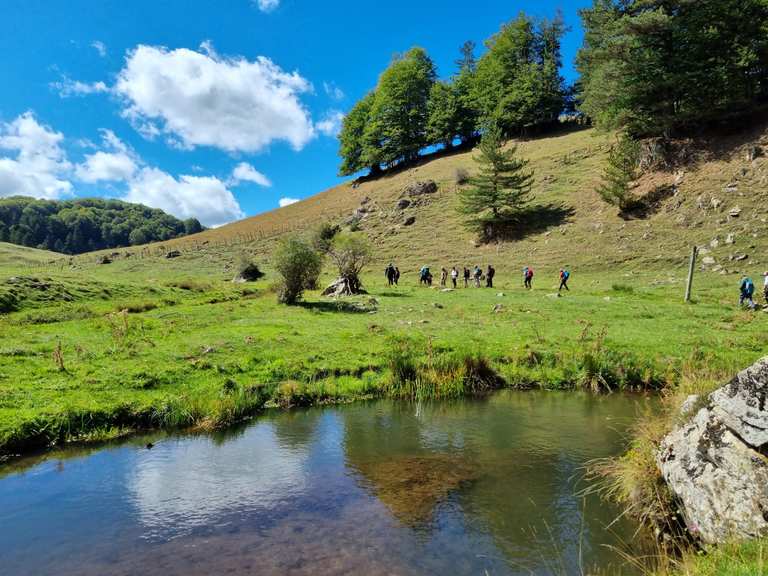 Fiume Tacina: Rutas MTB | Komoot