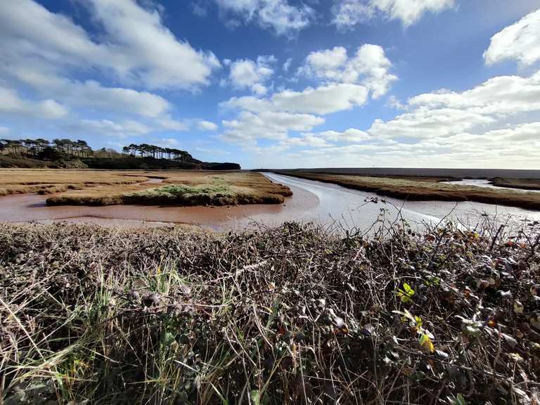 Otter Estuary Nature Reserve: Wanderungen und Rundwege | komoot