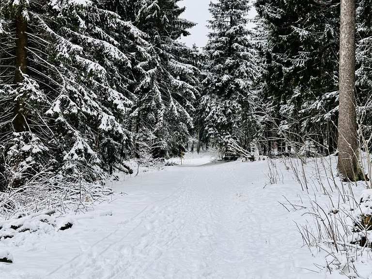 Rhön-Rennsteig-Wanderweg: Wanderungen und Rundwege | komoot