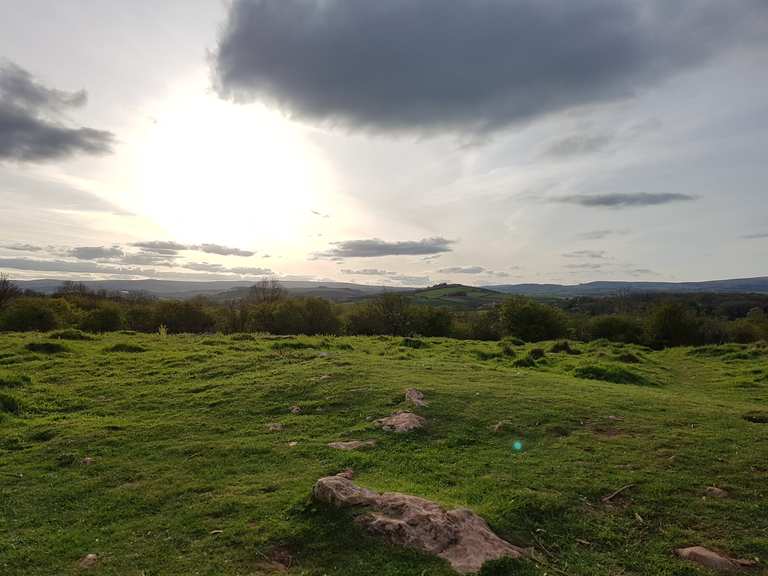 Orley Common & Broadhempston loop from Ipplepen | hike | Komoot