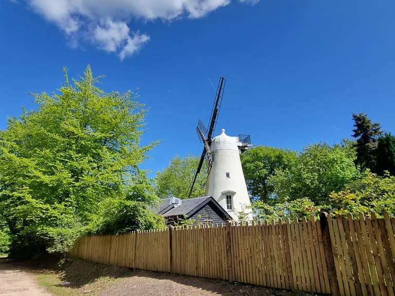 Pitch Hill & Winterfold Schleife — Surrey Hills | Wanderung | Komoot