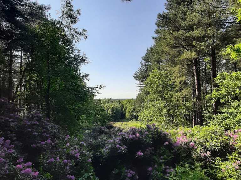 Sandringham Scenic Drive Routes for Walking and Hiking | Komoot