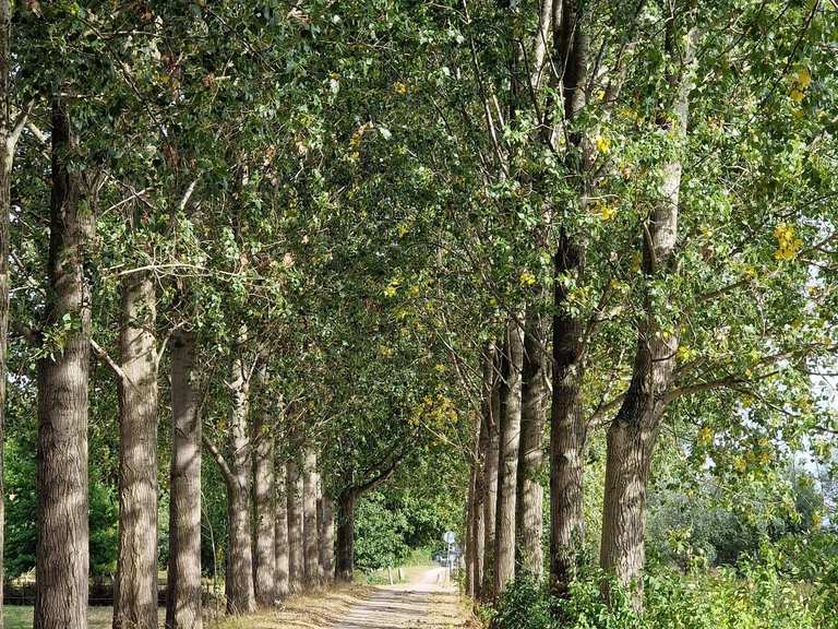Mooi fietspad van Babberich naar oud Zevenaar - Cycle Routes and Map ...