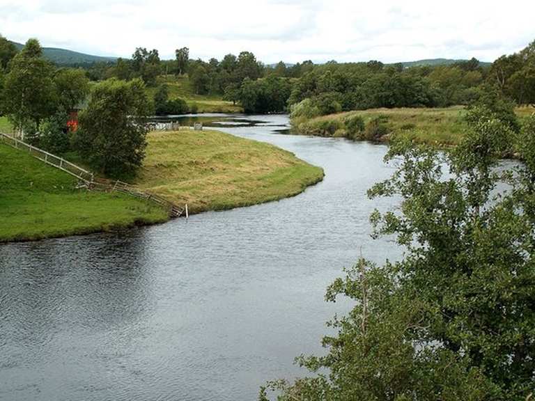 Nethy Bridge woodland loop to Boat of Garten | mountain bike ride | Komoot