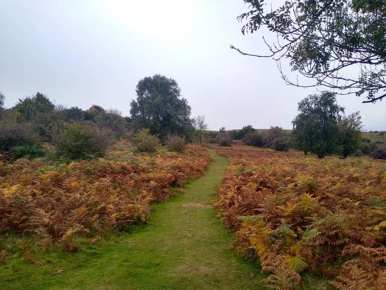 Boucle de Burrington Ham depuis Blagdon — Mendip Hills | randonnée ...