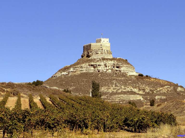 Las Pinzas y Castillo de Curiel de Duero | hike | Komoot