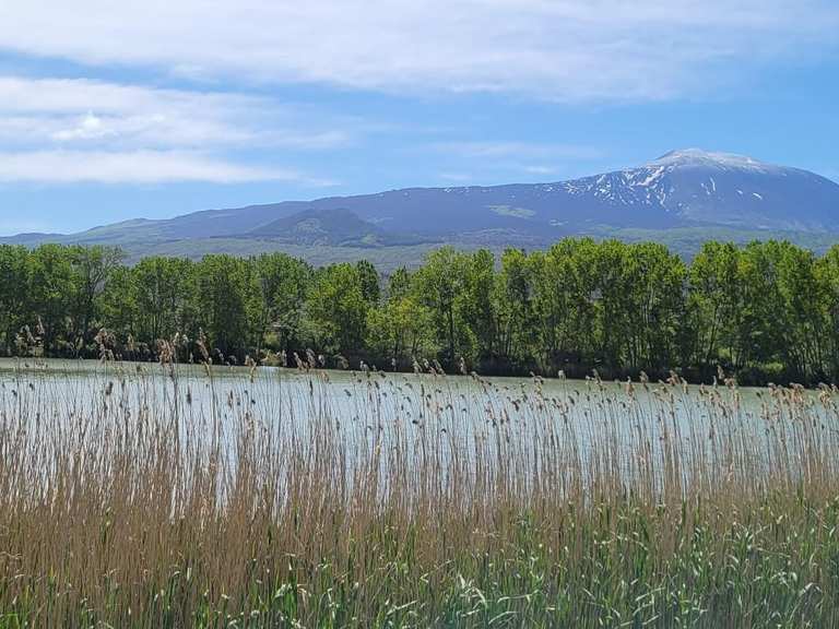 Lago Gurrida – loop tour in the Parco dell'Etna | hike | Komoot