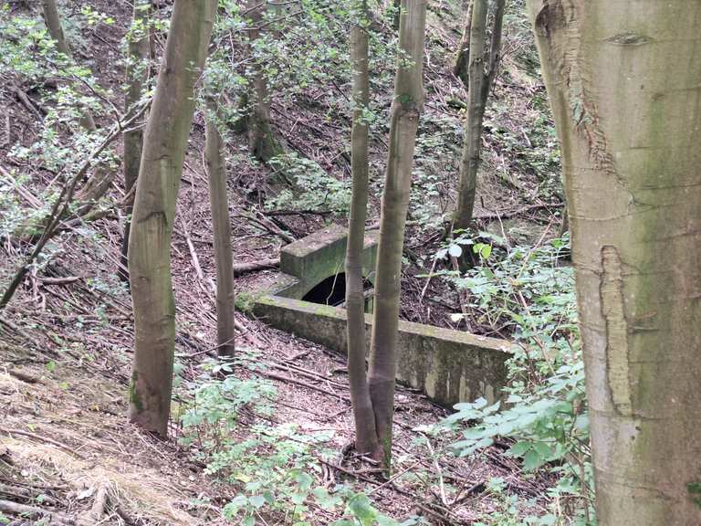 Nettleton Mine: Wanderungen und Rundwege | komoot