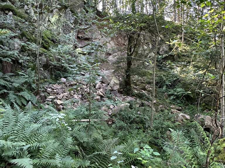 Grube Helene: Mountainbike-Touren und -Trails | komoot