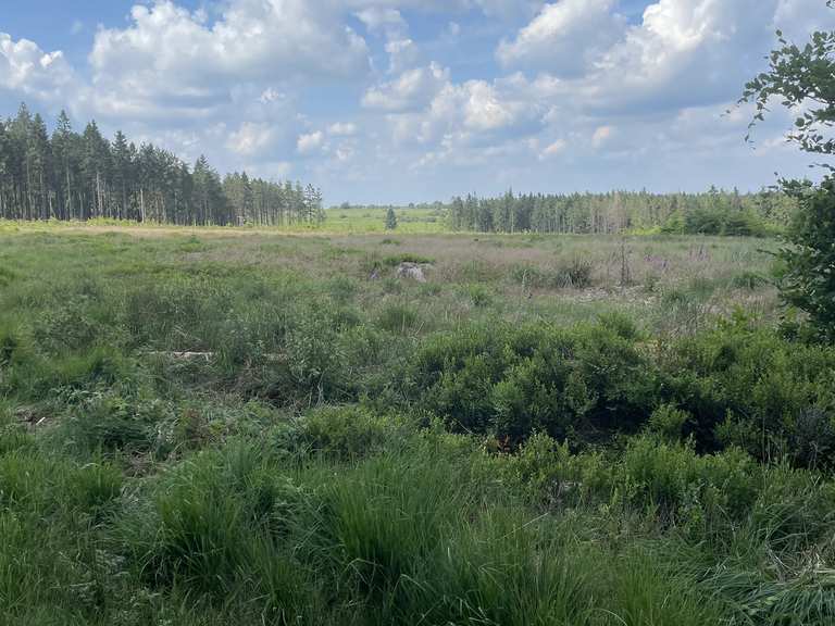 Fagne wallonne - Itinéraires vélo et carte | Komoot