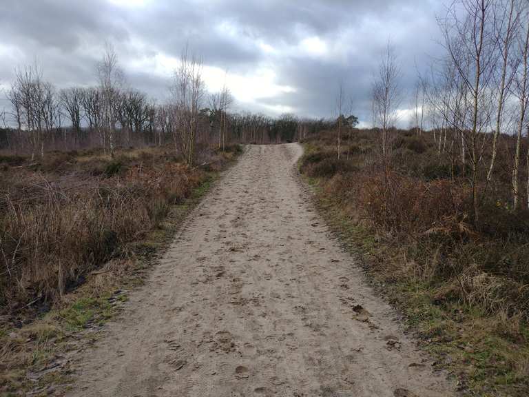 Averbode Heide wandelroutes en hikes | Komoot