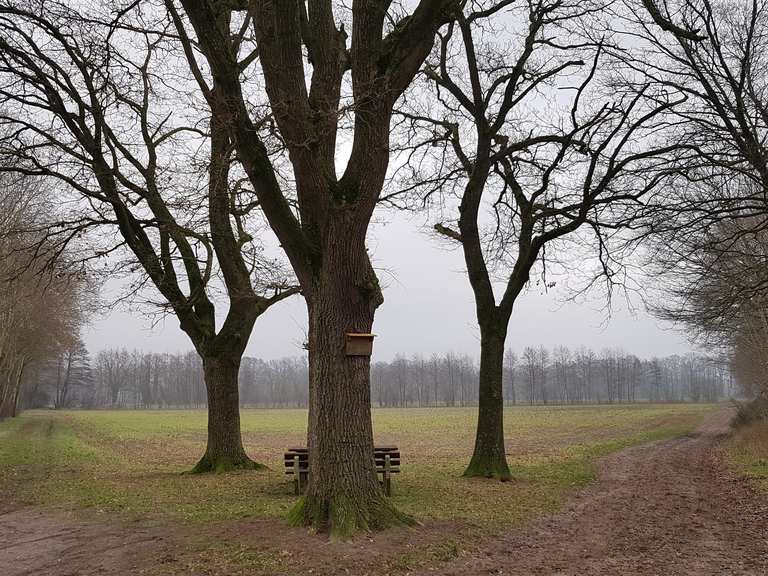 Rest Area at Sieben Wege – Hiking & Cycling Routes | Komoot